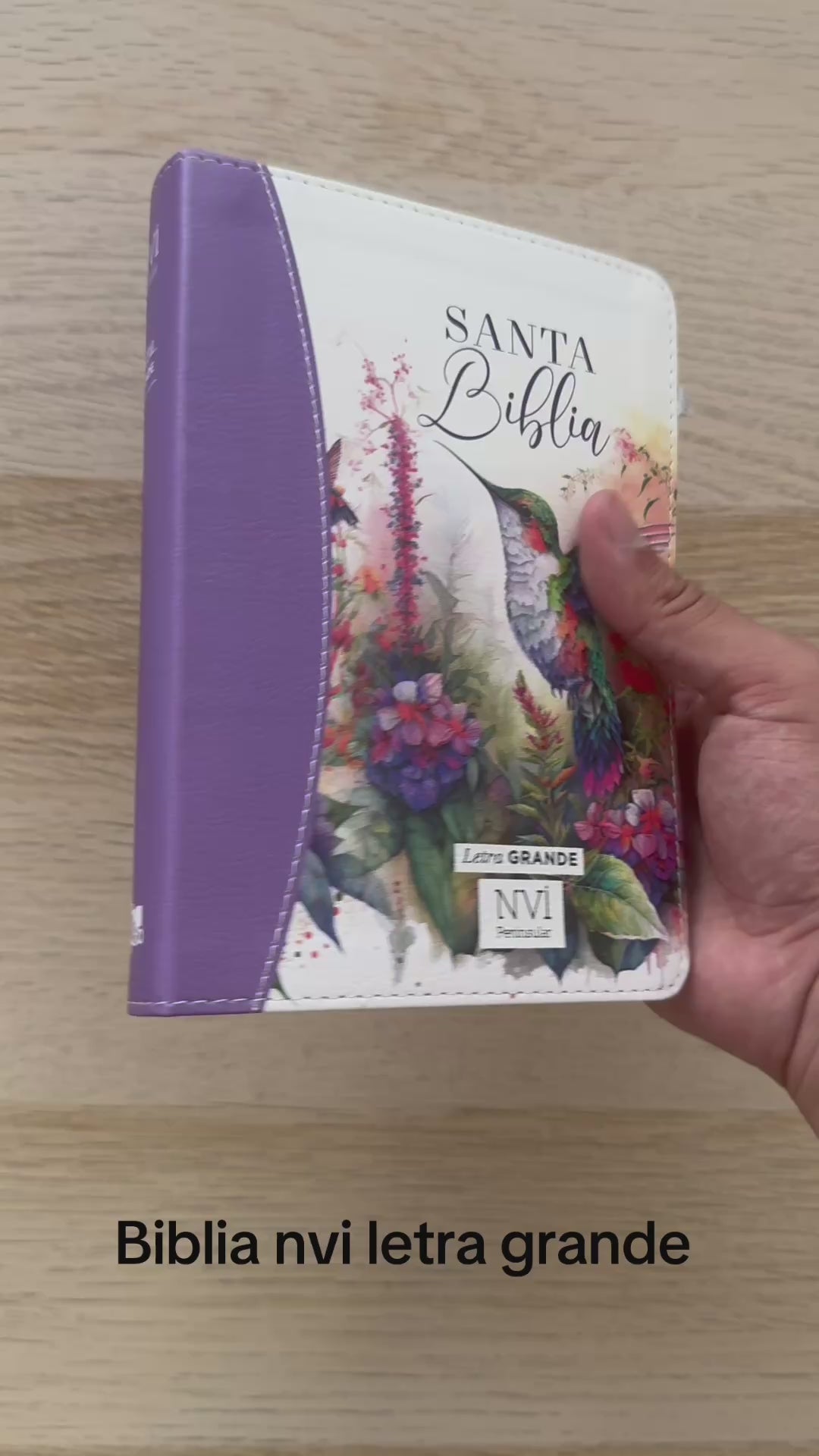 Biblia NVI Peninsular Portátil Letra Grande – Libreria Betania